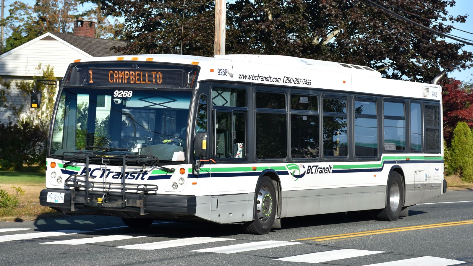 BC Transit Bus Interruptions
